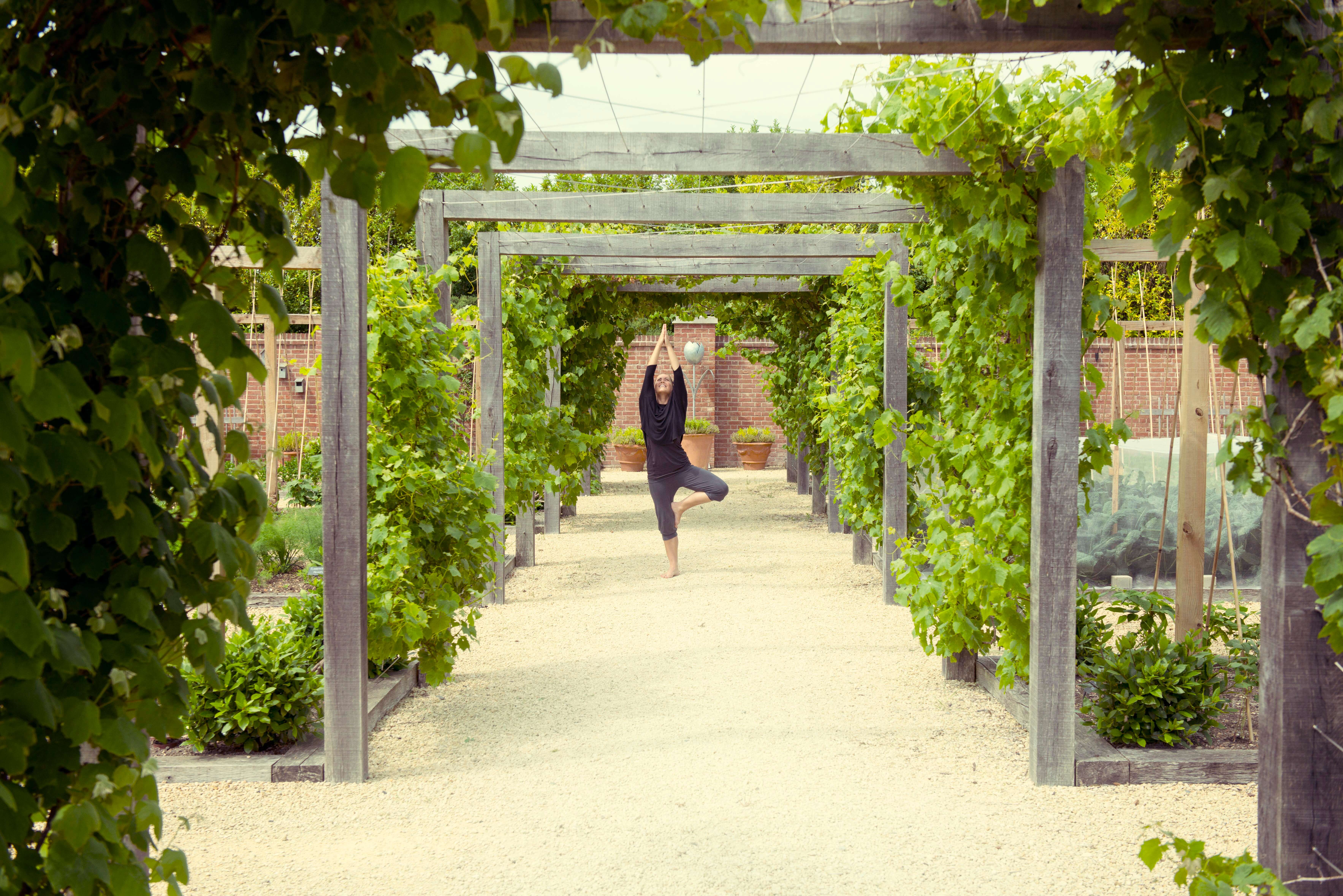 Luxury Spa Days in the New Forest | Chewton Glen Hotel & Spa